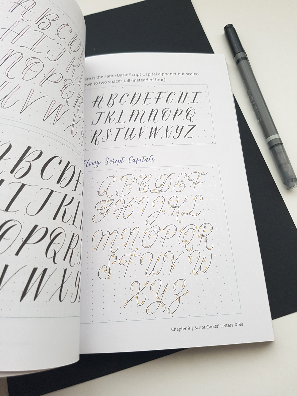 ~ Ma revue du livre "Lettering for Planners" de Jordan Truster et ...